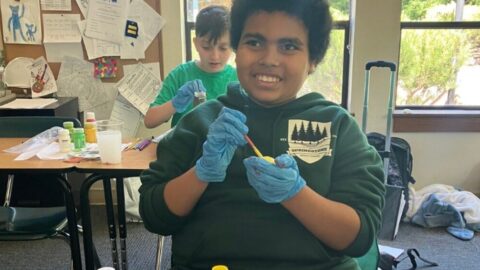 Home - The Springstone School | Lafayette, CA