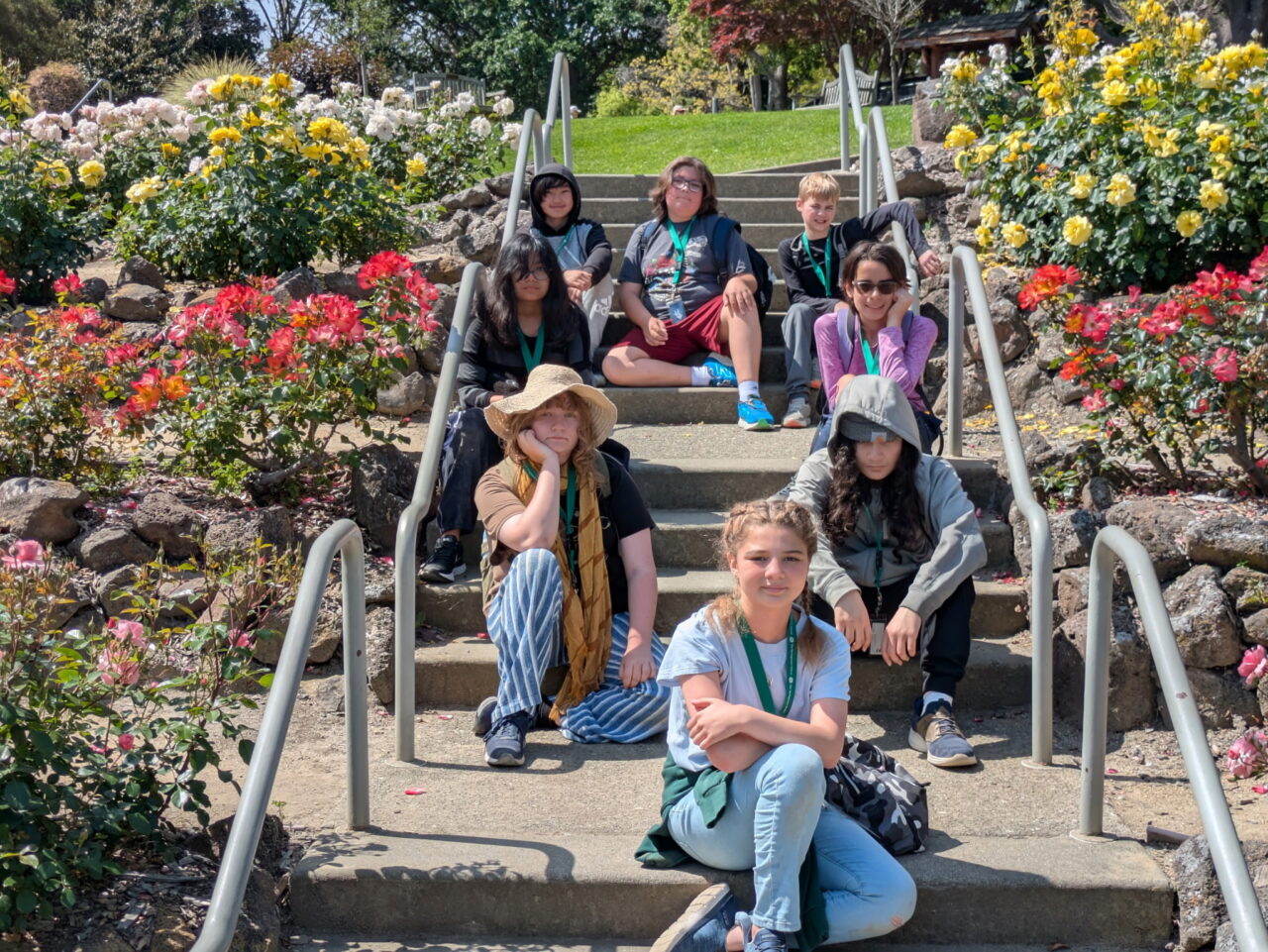 Admissions - The Springstone School | Lafayette, CA