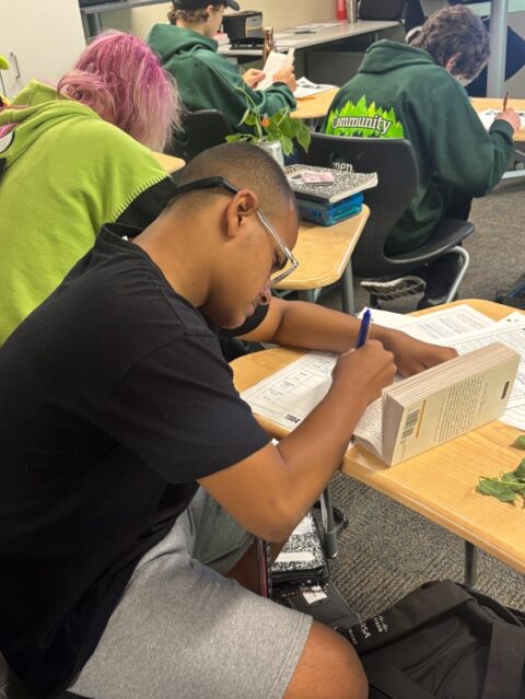 Home - The Springstone School | Lafayette, CA